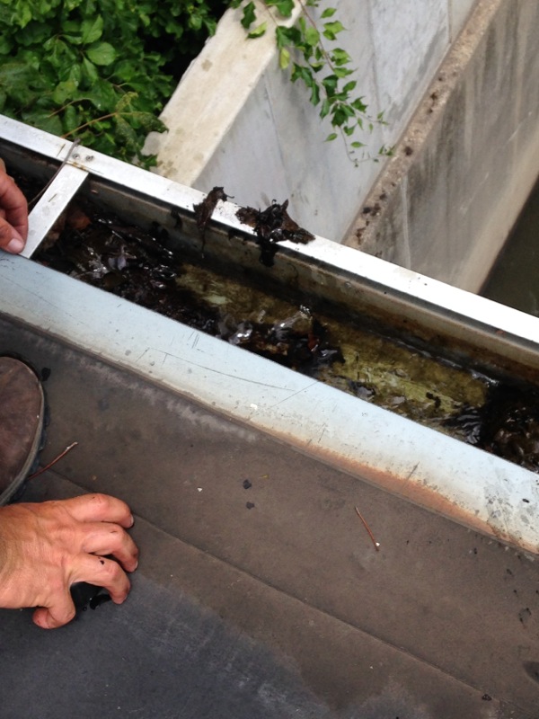 Troubleshooting and Repair Options for Commercial Gutters